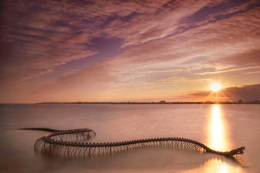 The majestic Serpent d’Océan skeleton emerges gracefully from the ocean ...