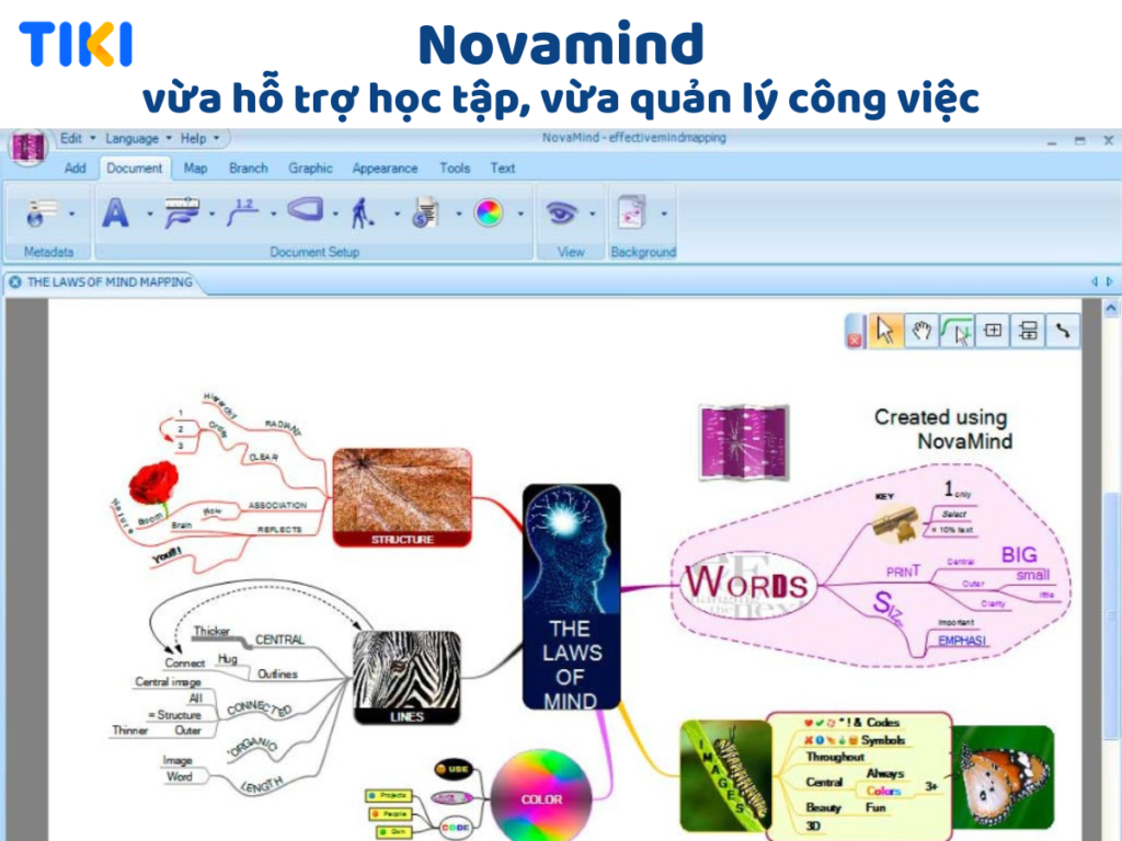What is Mind Mapping? Discover the TOP 10 Free Mind Mapping Software | Mytour