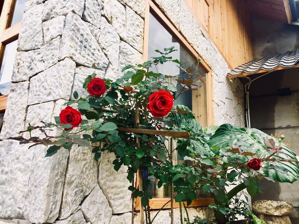 Rock Garden Sapa Homestay – Sparkling Beauty Amidst the Northwestern ...