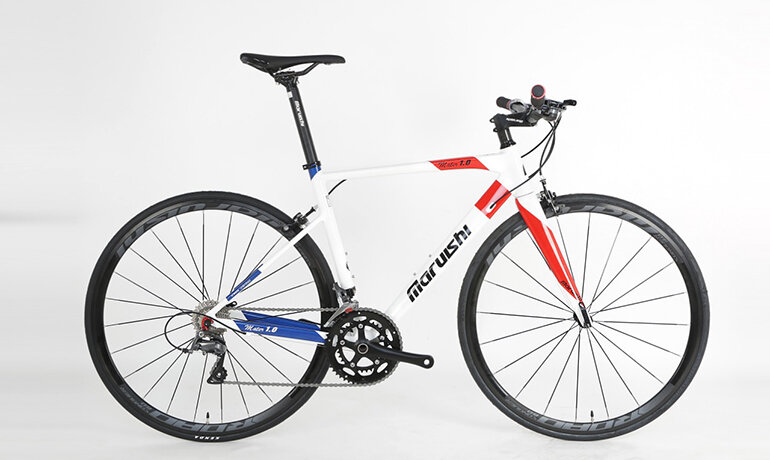 Top 5 Popular Japanese Sports Bicycle Brands in Vietnam | Mytour.vn