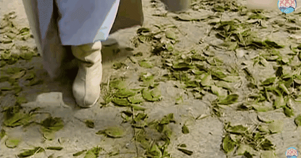 6 Mistakes in Martial Arts That Made Truong Tam Phong 'Unworthy' of ...