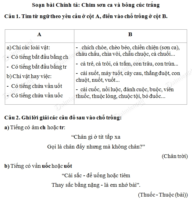 Compose Spelling Lesson: The Skylark and the White Daisy, Vietnamese