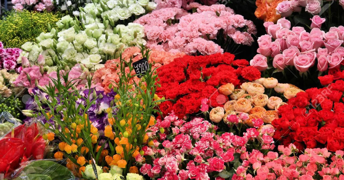 Smart Tips for Keeping Flowers Fresh During Tet