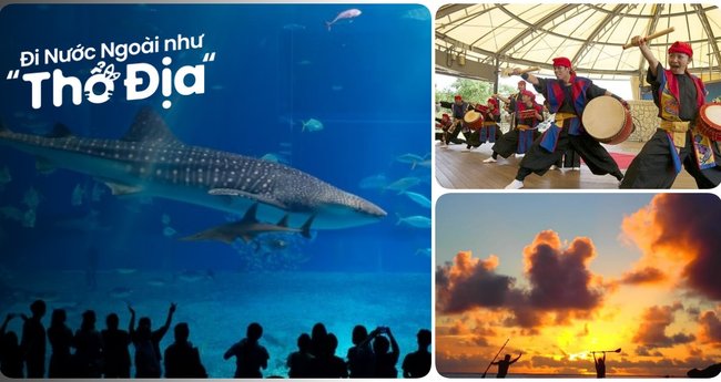 Experience Okinawa Travel from Osaka in 5 Days 4 Nights - Klook Blog