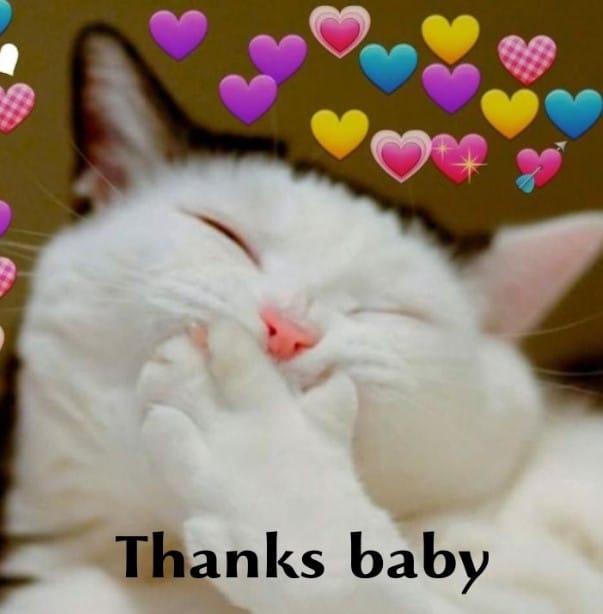 Compilation of humorous, cute, and wacky gratitude memes