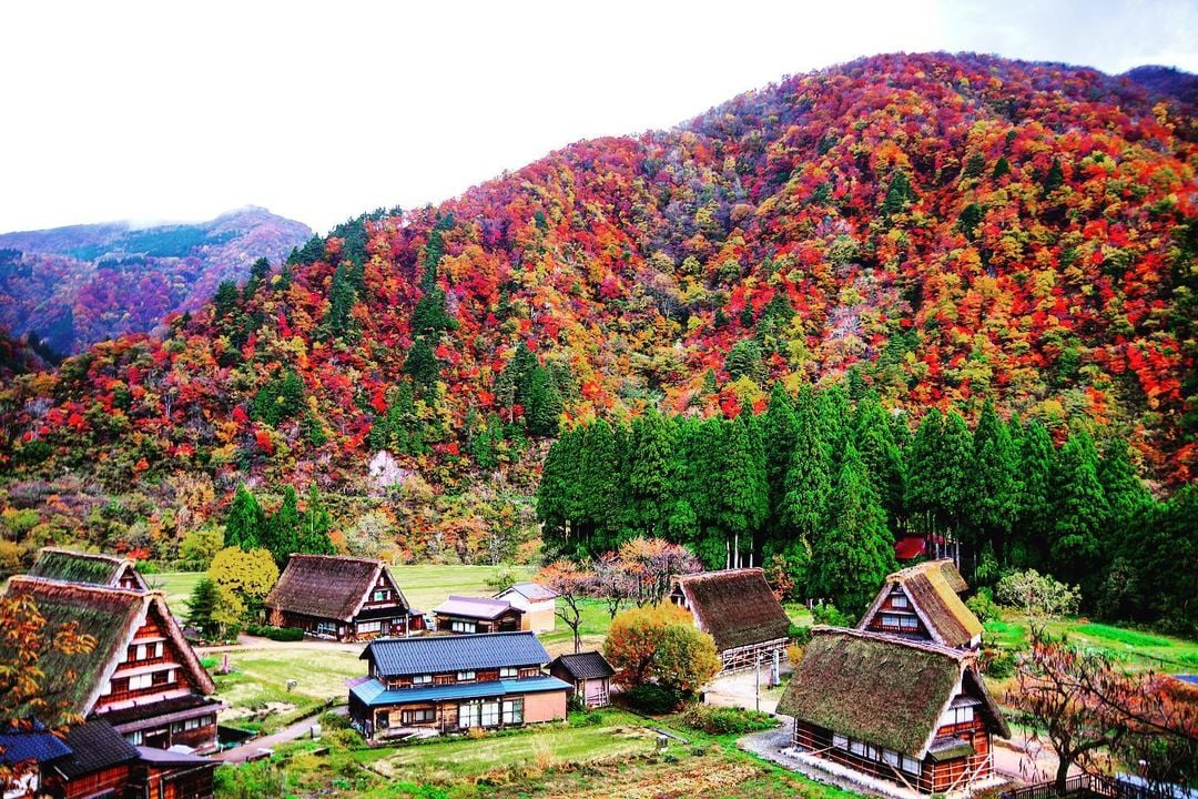 Explore the Enchanting Gokayama Ancient Village in Japan - Mytour