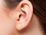 Exploring Men's and Women's Ear Characteristics: Pointed Ears ...