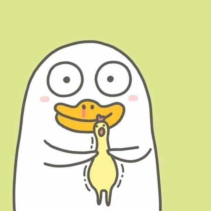 Duck-themed wallpapers, avatars, cute duck images - the latest trend!