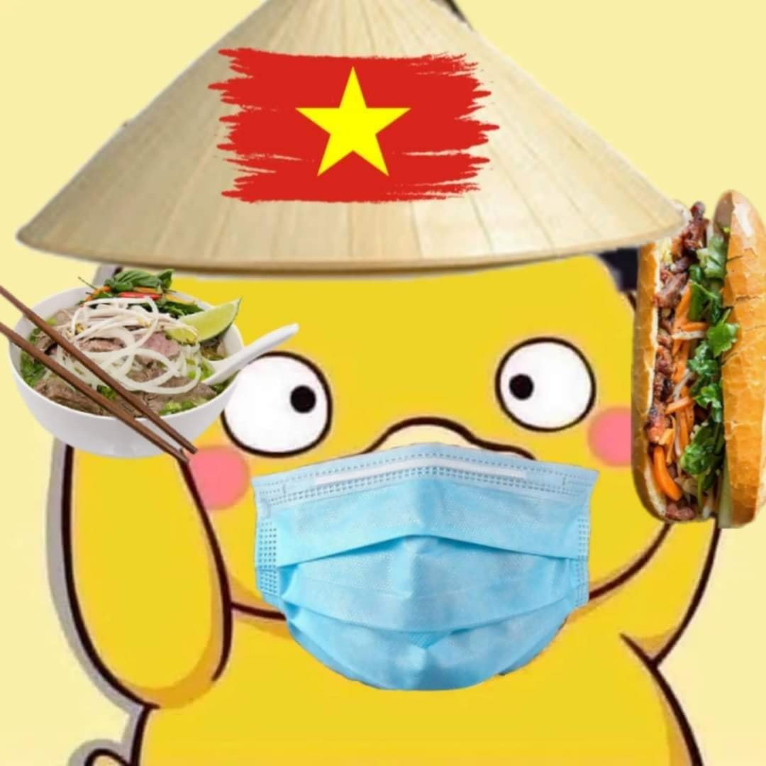 Duck-themed wallpapers, avatars, cute duck images - the latest trend!