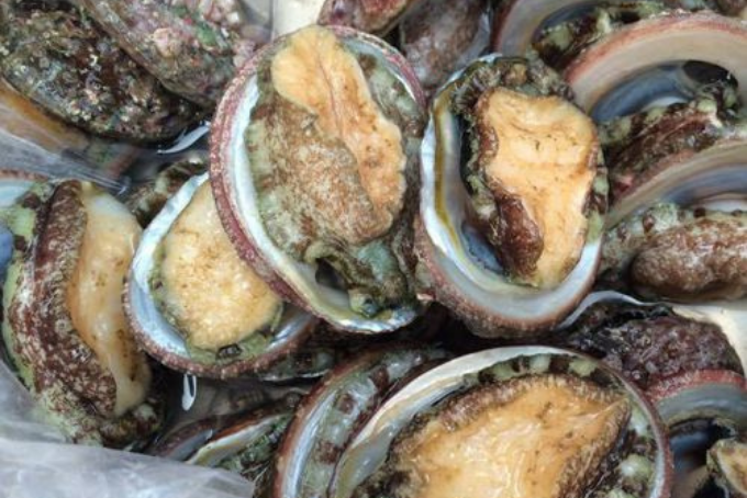 TIPS FOR CHOOSING, STORING, AND PROPERLY COOKING DELICIOUS ABALONE