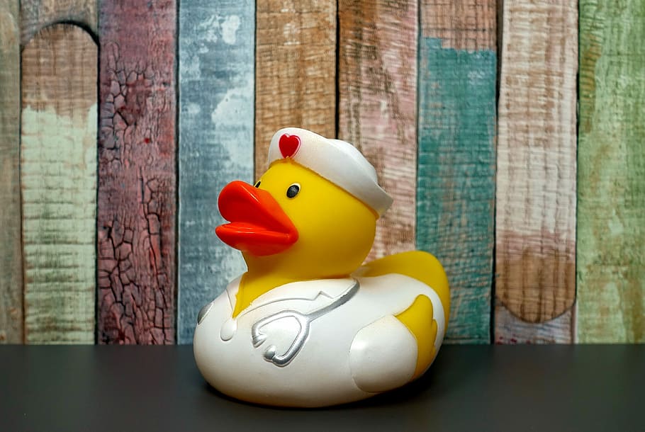 Duck-themed wallpapers, avatars, cute duck images - the latest trend!