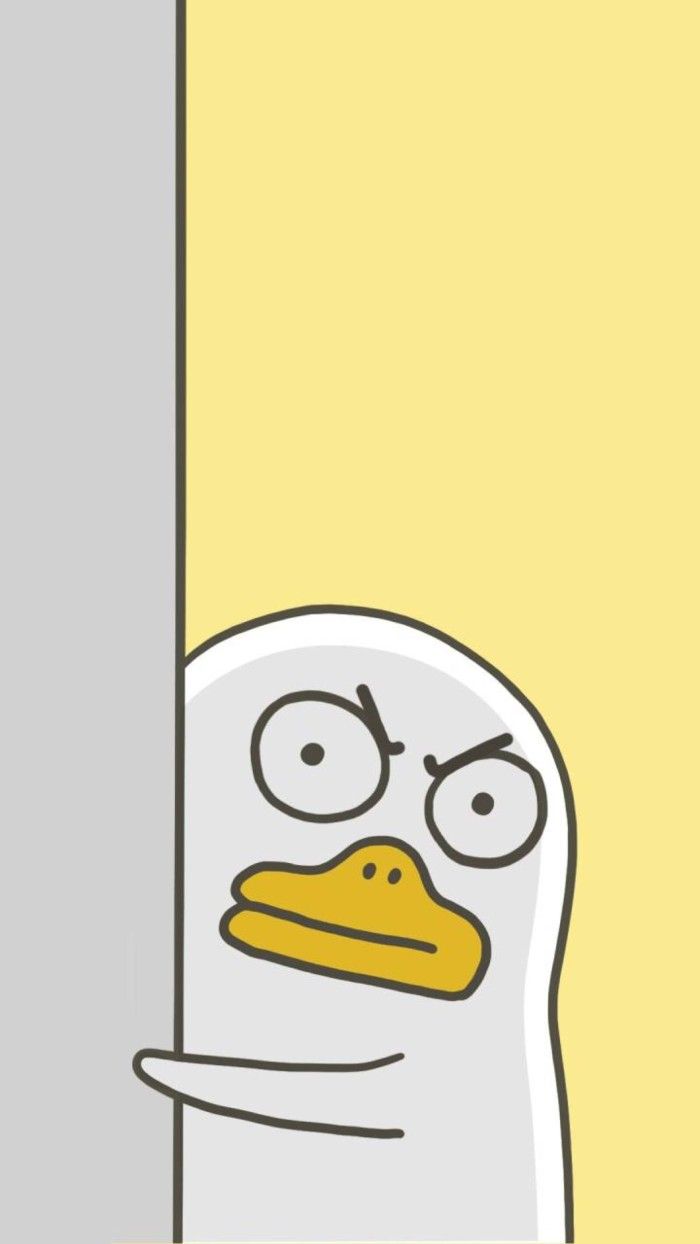 Duck-themed wallpapers, avatars, cute duck images - the latest trend!