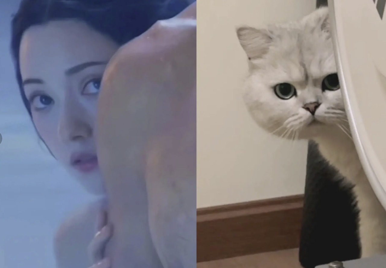 Revealing the Allure of Dat Ky's 'Western' Beauty in the $9400 Billion ...