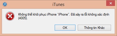Resolving iPhone Error 4005 During Restore