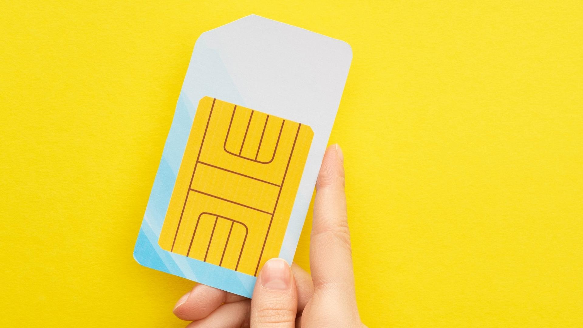 Unlocking the Mystery of 081: Exploring the Fortunate Meanings of this ...