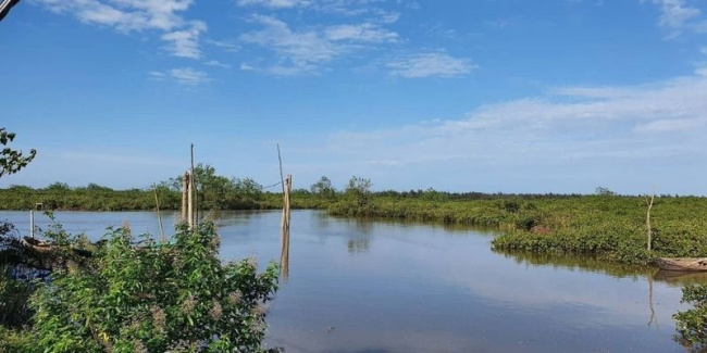 Top 10 Beautiful National Parks in Vietnam - ALONGWALKER