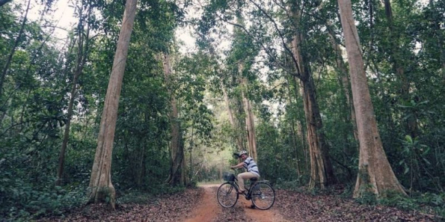 Top 10 Beautiful National Parks in Vietnam - ALONGWALKER