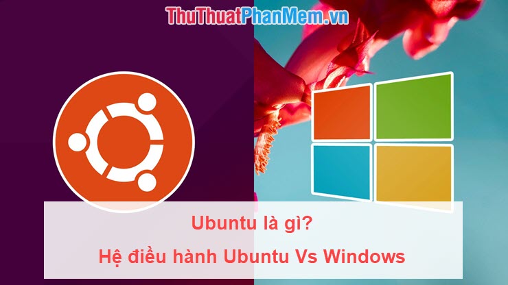 Understanding Ubuntu: Why Switching to Ubuntu Operating System Makes Sense
