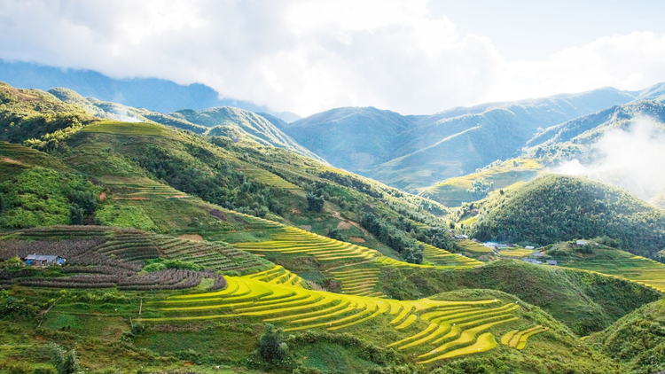 Stunning Zalo cover photos