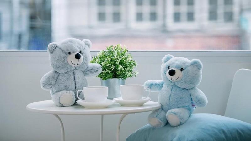 Top 10 Best Glimpses into Teddy Bear Descriptions - Mytour.vn