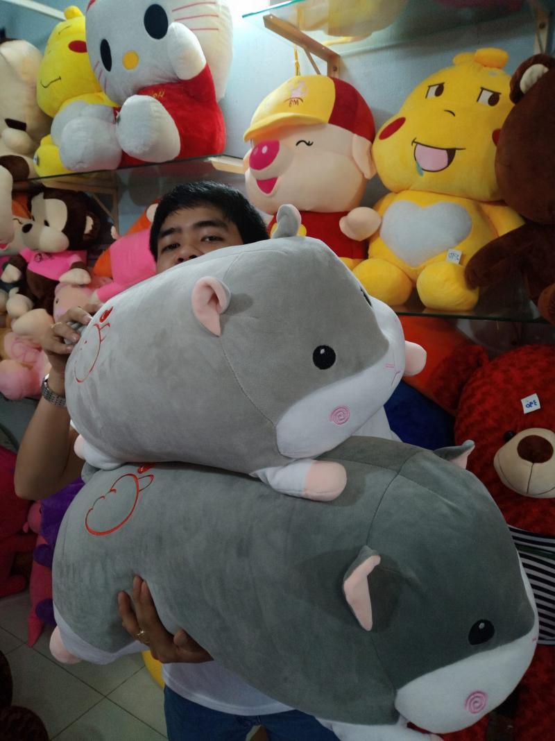 Top 10 Best Glimpses into Teddy Bear Descriptions - Mytour.vn