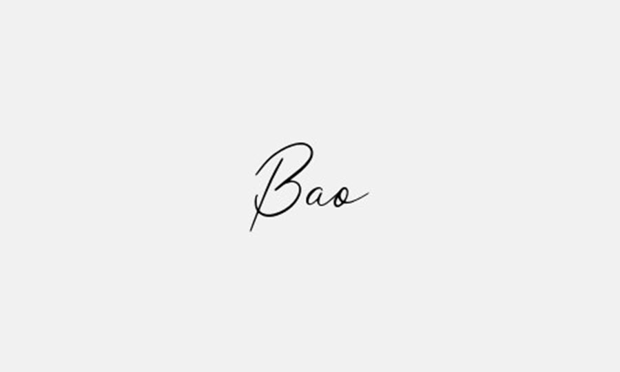 Beautiful Signature for the Name Bao - The Most Exquisite Bao Signature ...