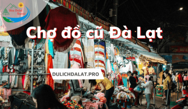 Exploring the Vintage Treasures: A Guide to Shopping in Da Lat's ...