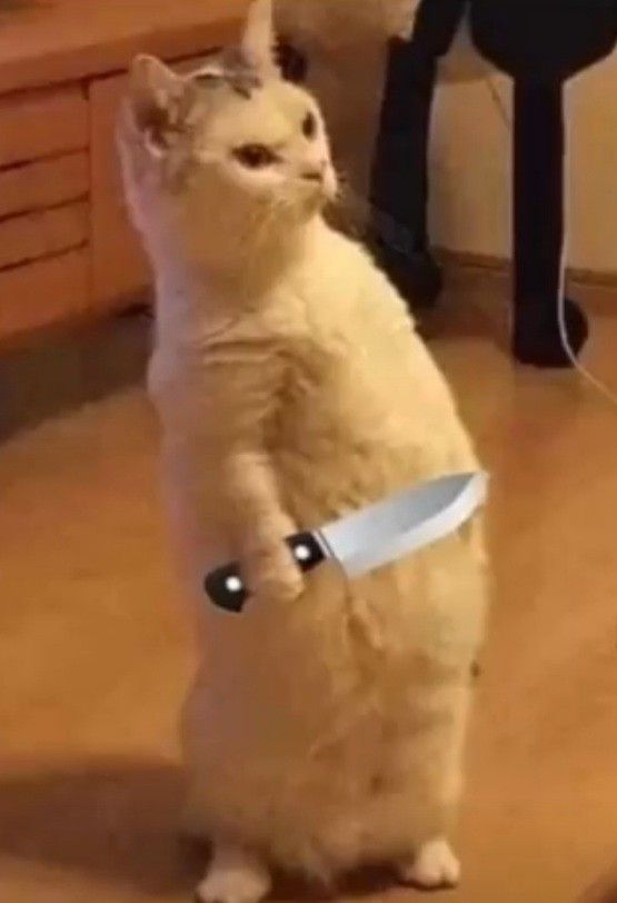 Compilation of hilarious and quirky knife holding memes