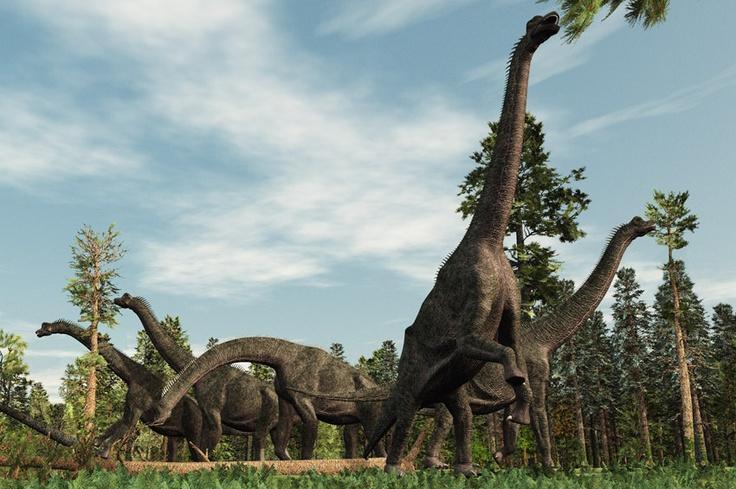 Top 11 Fascinating Facts About Long-Necked Dinosaurs - Mytour.vn