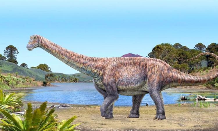 Top 11 Fascinating Facts About Long-Necked Dinosaurs - Mytour.vn