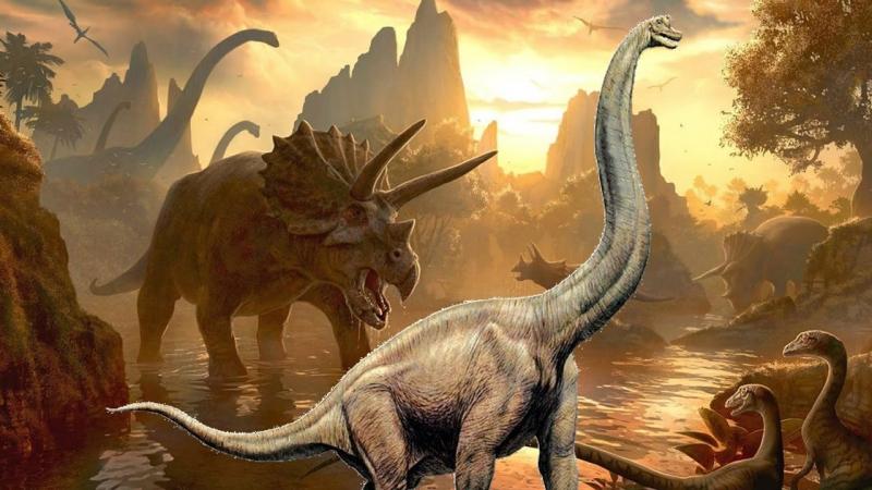 Top 11 Fascinating Facts About Long-Necked Dinosaurs - Mytour.vn