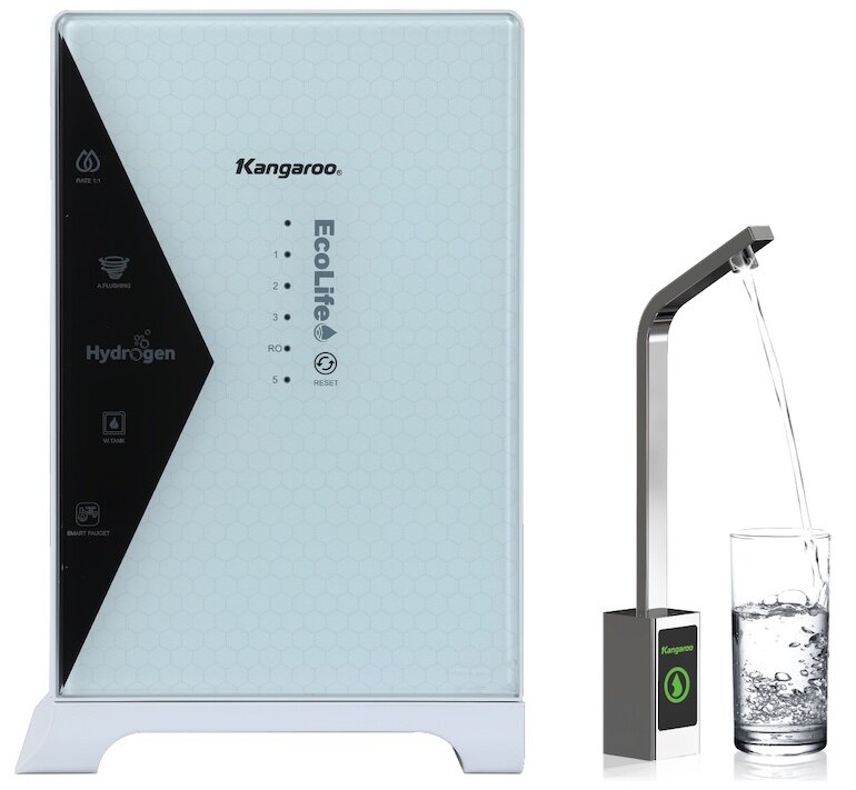 What are the outstanding features of the Kangaroo Hydrogen KG100HU ...