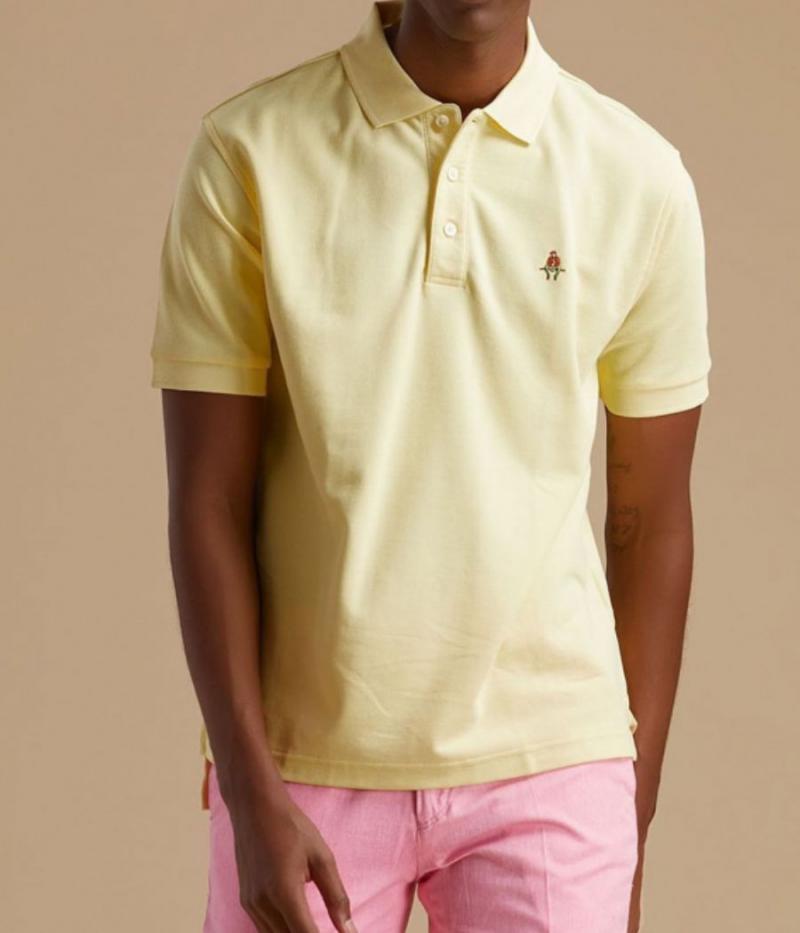 Top 10 Most Famous Men's Polo Shirt Brands Worldwide - Mytour.vn
