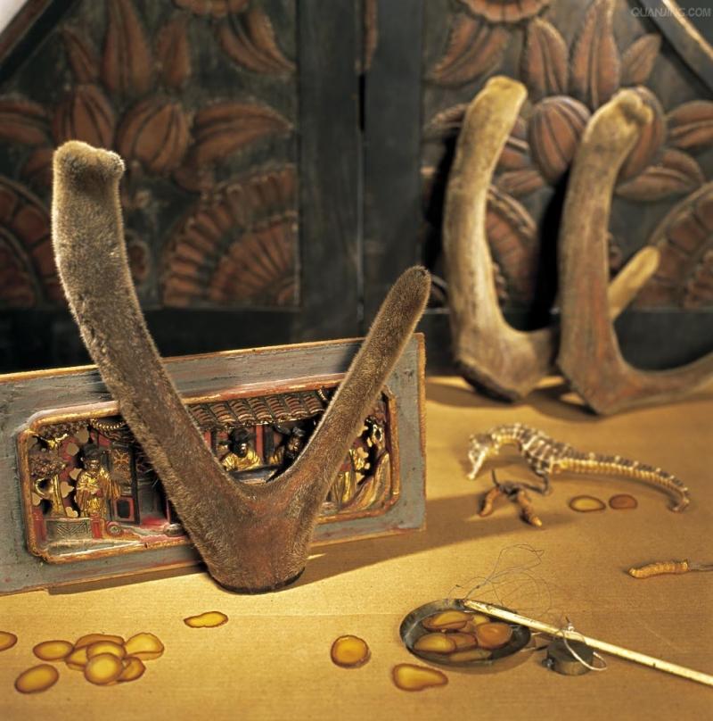 Top 10 Health Benefits of Deer Antler - Mytour.vn