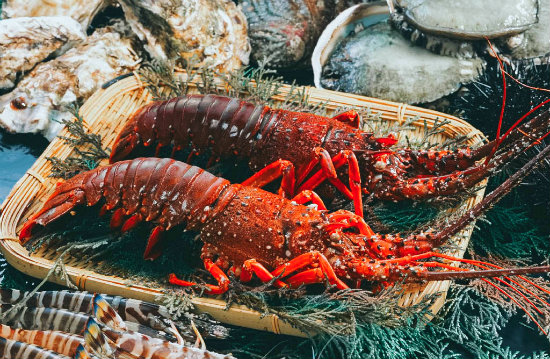 Explore 10 super delicious and super affordable seafood havens in Con Dao