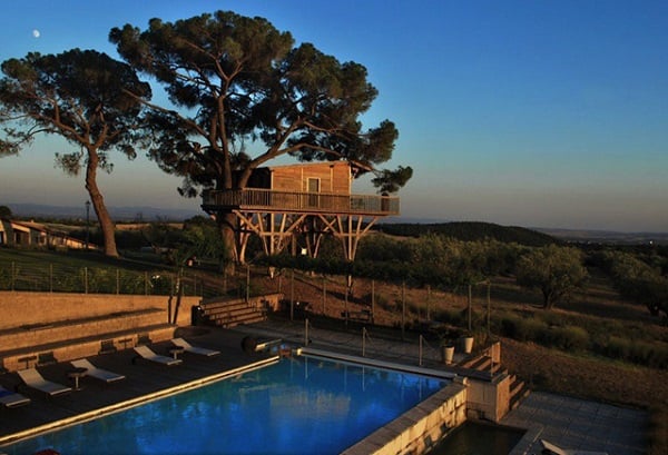 Top 5 Remarkable Forest Retreats Worldwide - Mytour