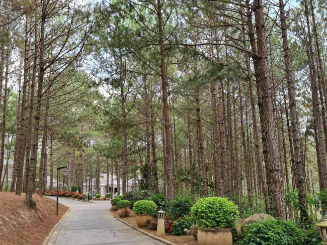 Experience the breathtaking views of Tuyen Lam Lake and the endless pine forests while enjoying ...