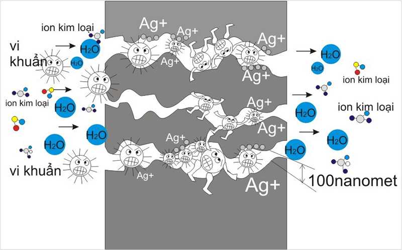 Silver ion technology