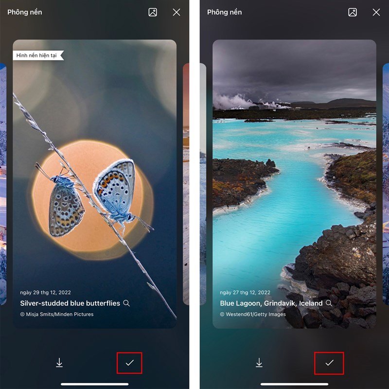 Guide on Easily Changing Microsoft Edge iOS Wallpaper