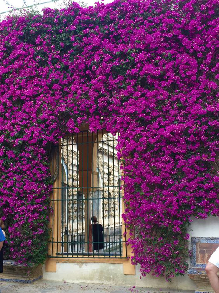 Most Beautiful Paper Flower Arrangements