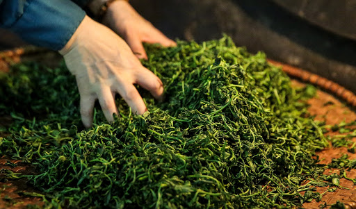 Crafting Authentic Vietnamese Green Tea at Home - Mytour