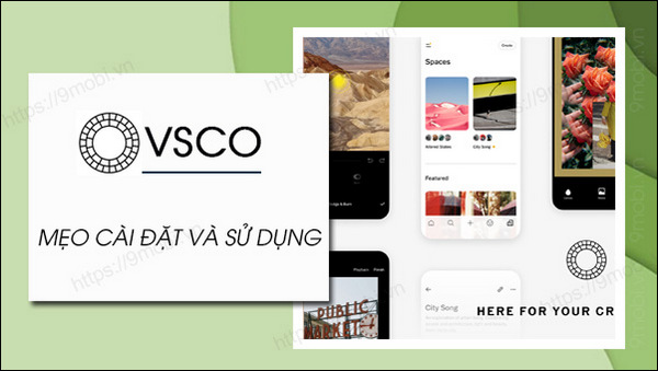 How to Install and Use VSCO on Your Phone