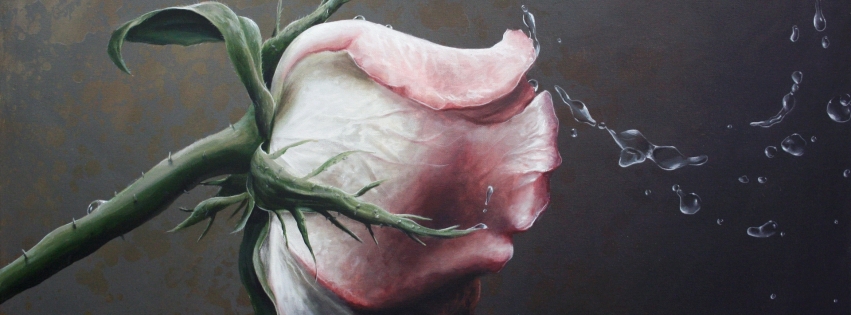 The Most Beautiful, Unique, and Adorable Facebook Backgrounds