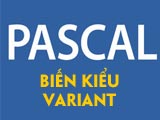 Exploring Variant Variables in Pascal: Syntax and Illustrative Examples