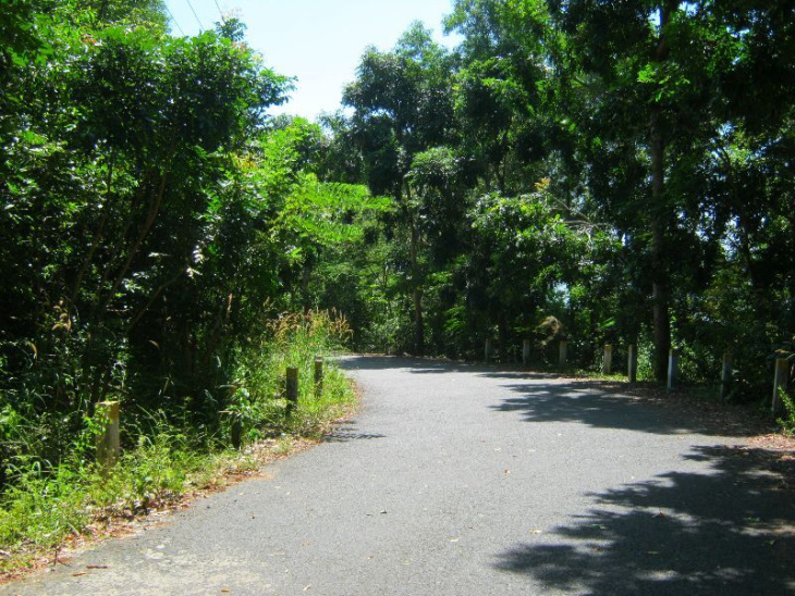 Review of Minh Dam Mountain – A Tourist Hotspot in the Coastal City ...