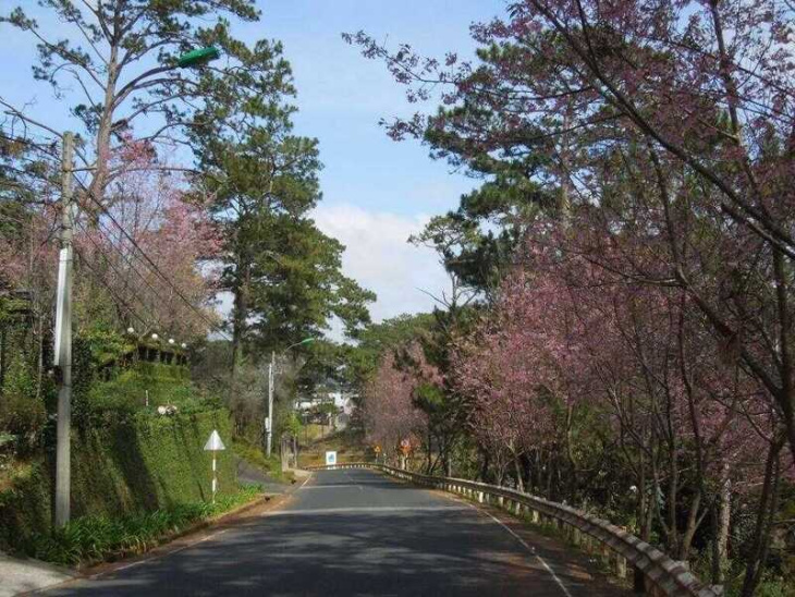 Review of Minh Dam Mountain – A Tourist Hotspot in the Coastal City ...