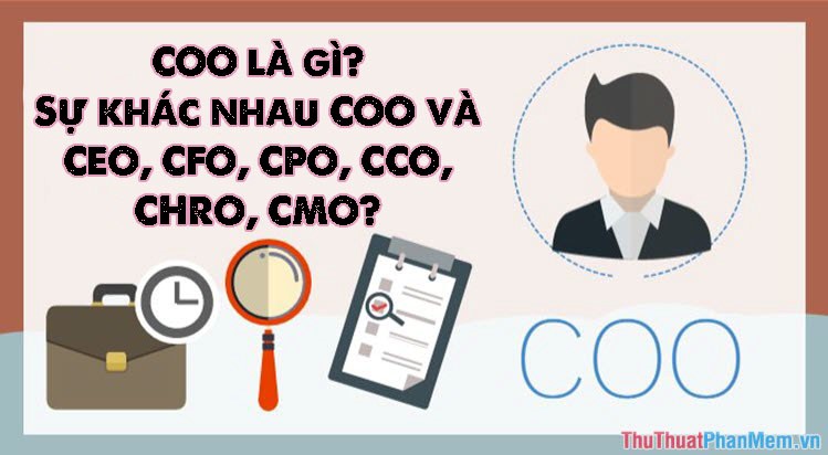 What is COO? Understanding the Distinctions between COO and CEO, CFO ...