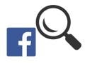 Ensuring Safe and Effective Searches on Facebook