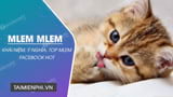 What is Mlem mlem? Check out the hottest Mlem Facebook groups