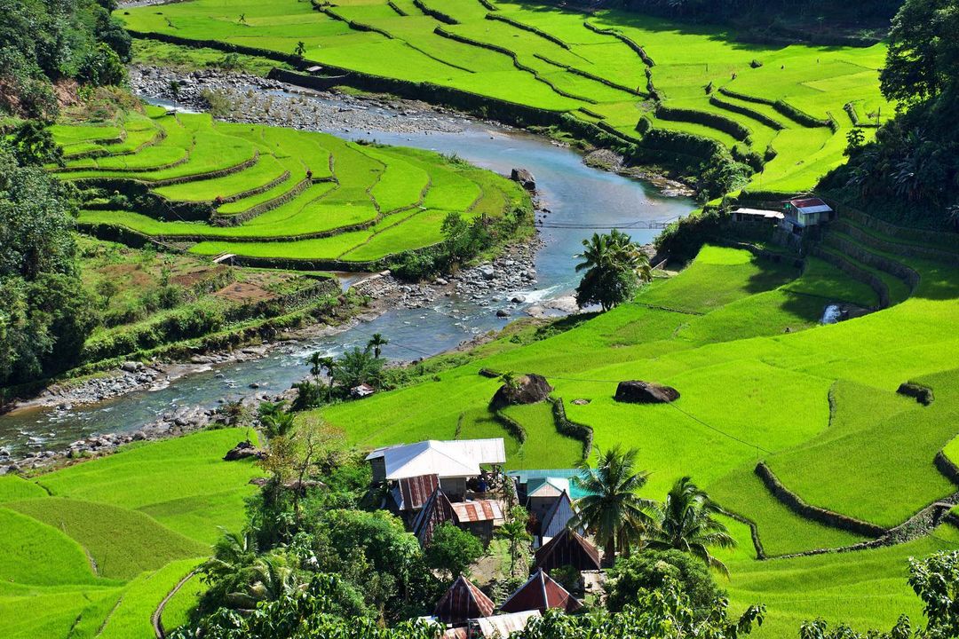 Experience the ancient terraced fields of Banaue in the Philippines ...